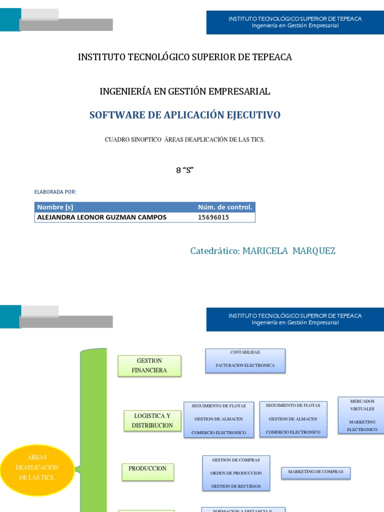 Cuadro Sinoptico Áreas Deaplicación de Las Tics. | PDF | Tecnologías de la información | Economias