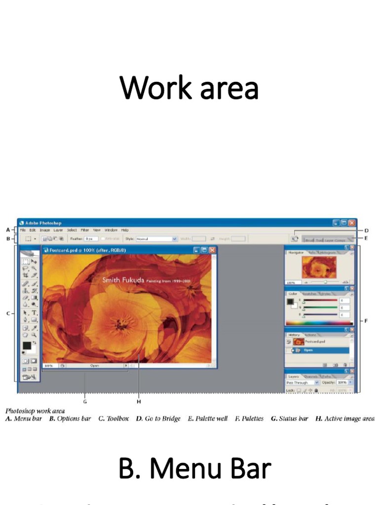Overview of Photoshop Work Area | PDF | Computers