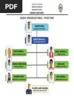 Badac Auxiliary Team Org. Structure | PDF