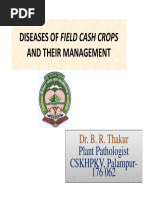 Blotter Test Method | PDF | Seed | Germination