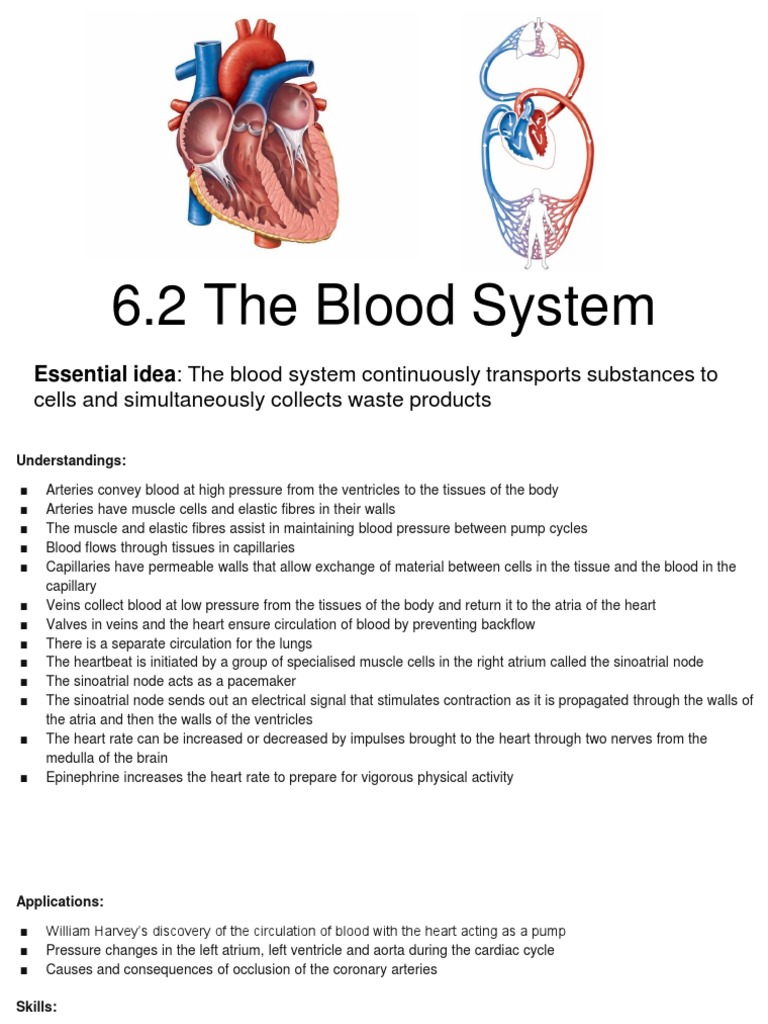 Essential Idea: The Blood System Continuously Transports Substances To ...