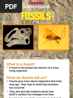 Animal Classification Charts | PDF | Invertebrate | Egg