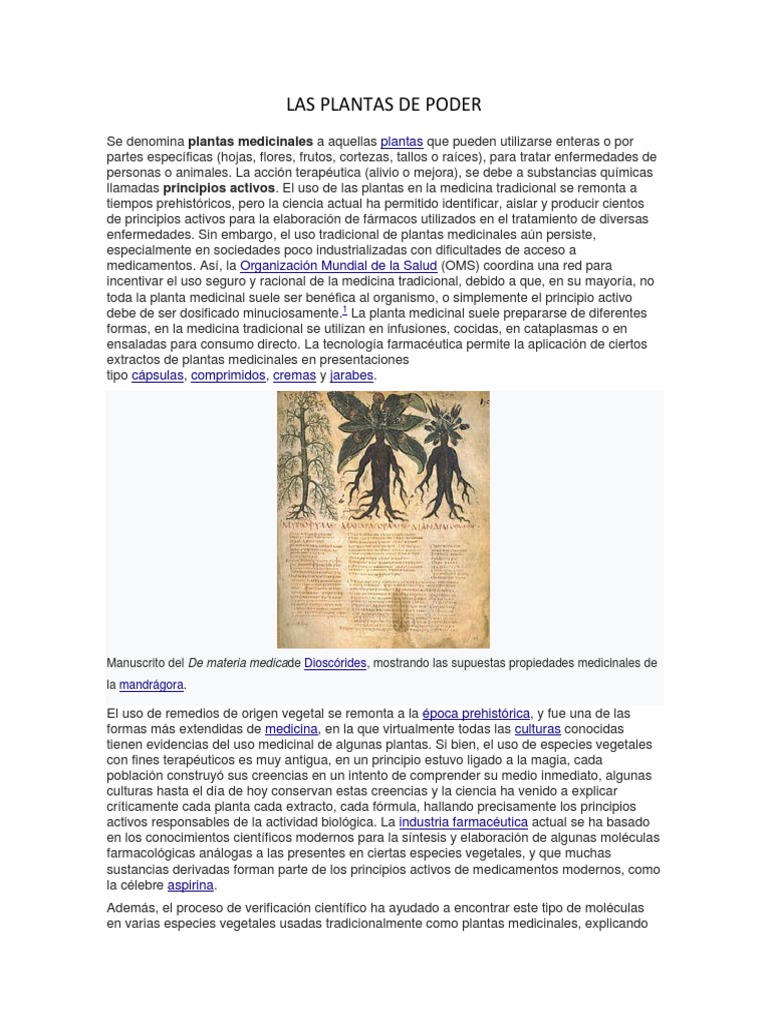 Las Plantas de Poder | PDF | Plantas medicinales | Medicina