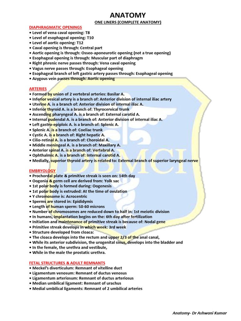 Anatomy One Liners by Dr. Ashwani Kumar | PDF | Coronary Circulation ...