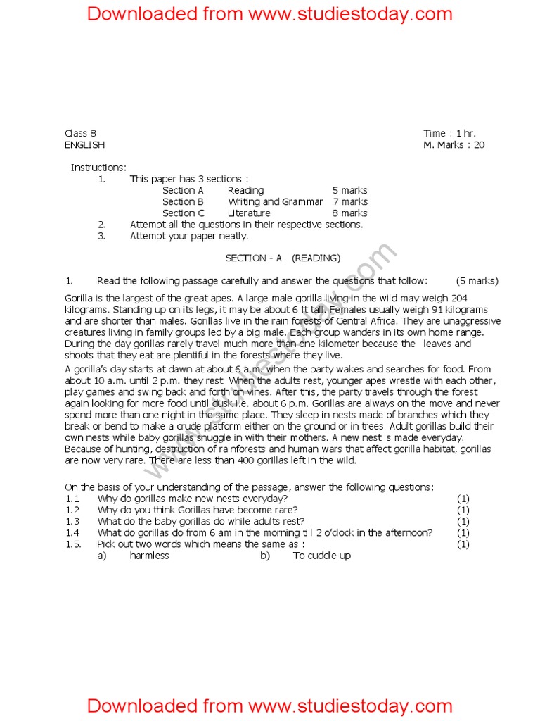 CBSE Class 8 English Sample Paper Set B | PDF | Gorilla | Nature