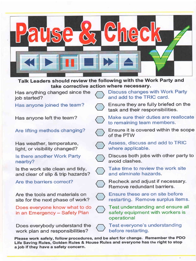 Pause and Check | PDF