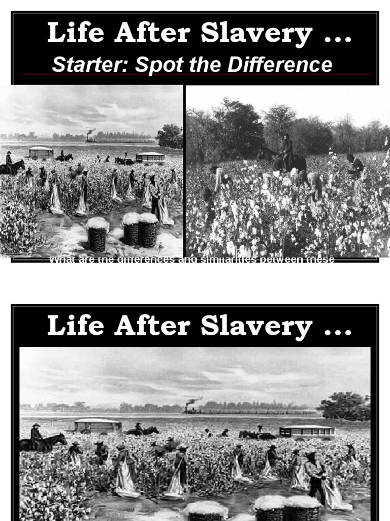 Starter: Spot The Difference: Life After Slavery | PDF | Jim Crow Laws ...