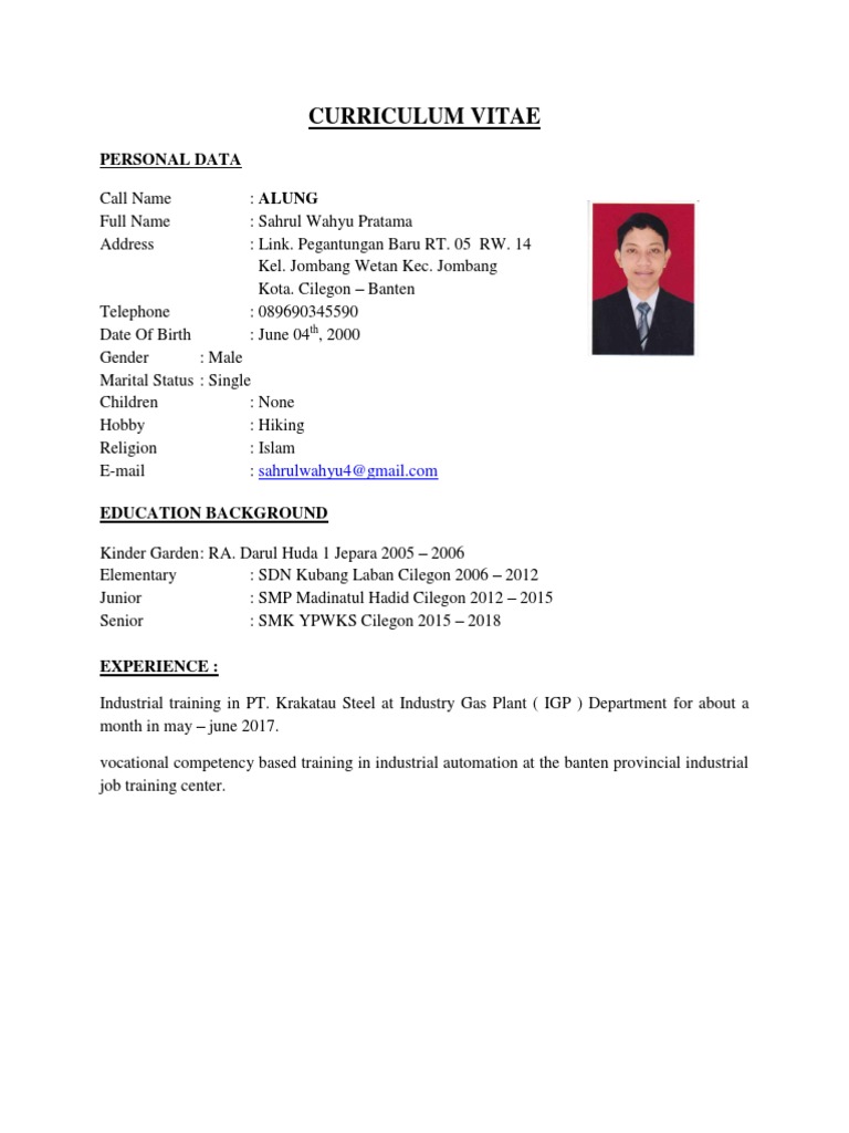 Sahrul Wahyu Pratama CV | PDF