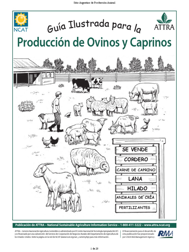 Manual de Cria Ovinos | PDF | Oveja | Cabra