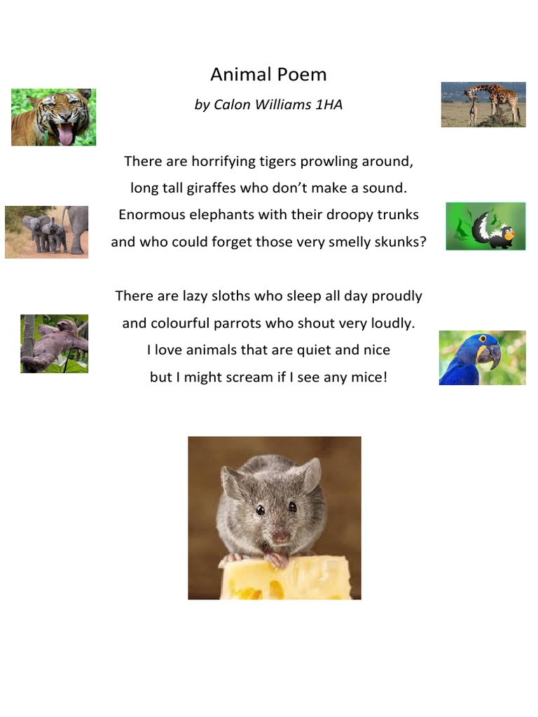 Animal Poem: by Calon Williams 1HA | PDF | Poetry | Young Adult