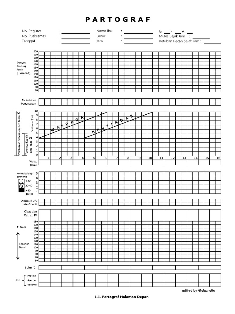 Partograf | PDF