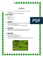 Constructing a Leaf Dichotomous Key | PDF | Leaf | Branches Of Botany