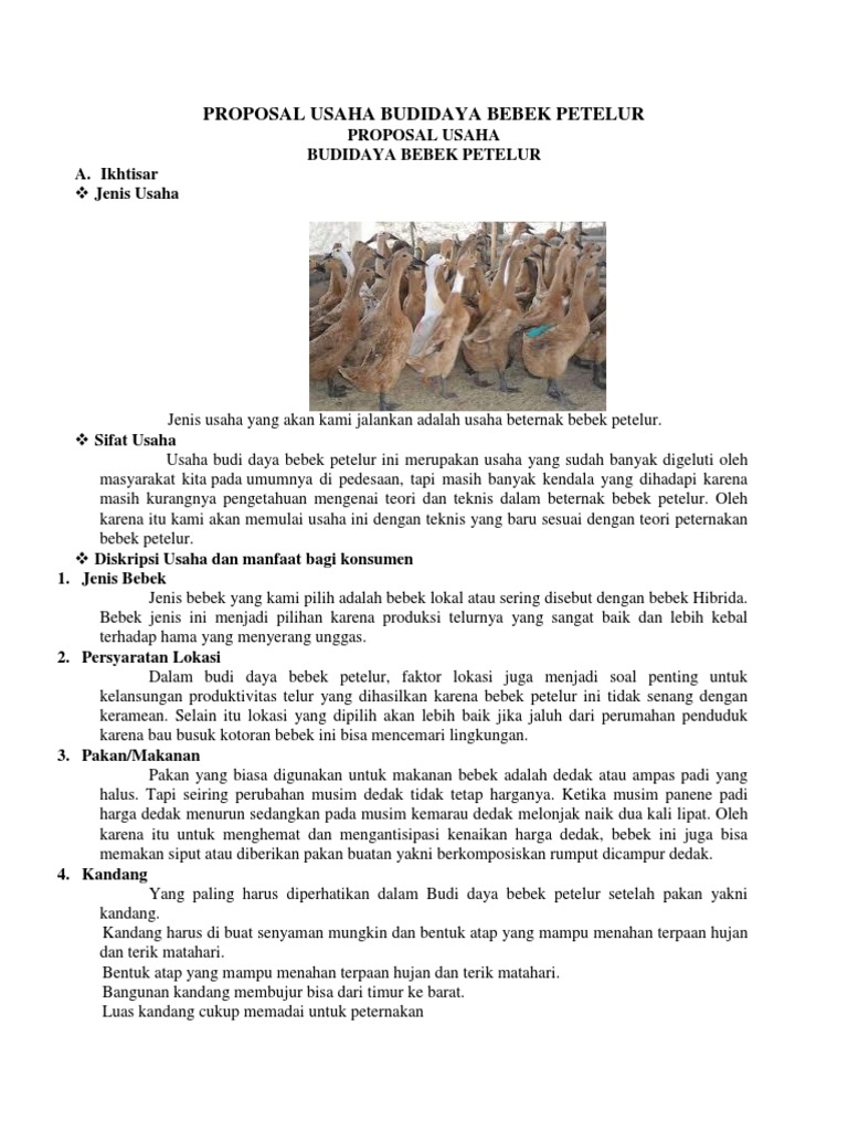Proposal Usaha Budidaya Bebek Petelur | PDF