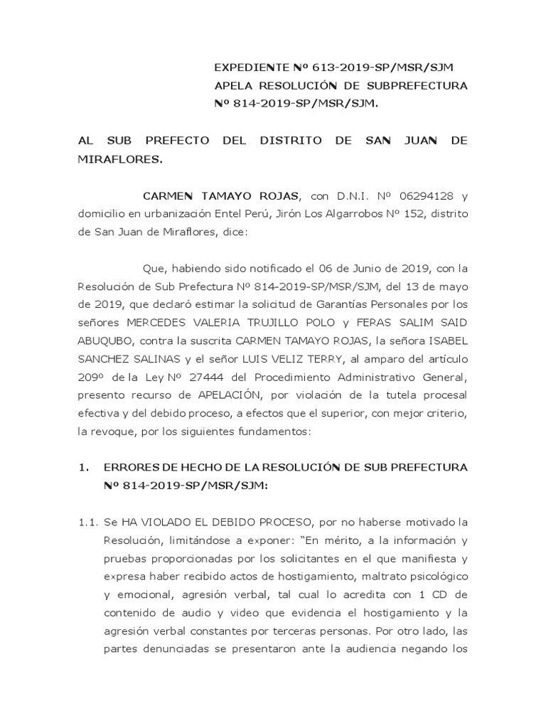 Apelacion Subprefectura | PDF | Debido al proceso | Nulo (ley)