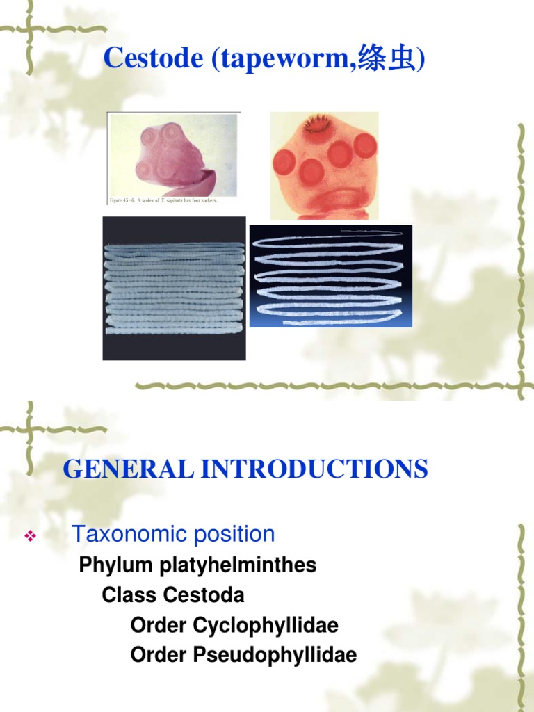 Taenia Solium | PDF | Clinical Medicine | Diseases And Disorders