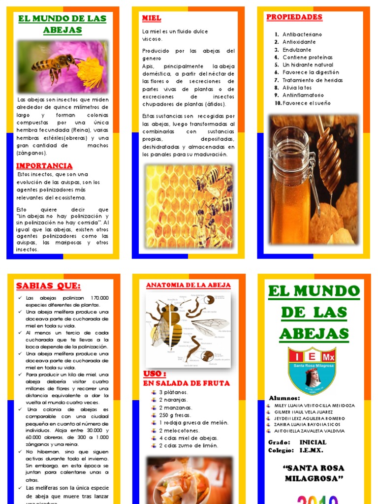 Triptico de La Miel | PDF | Abejas | Miel
