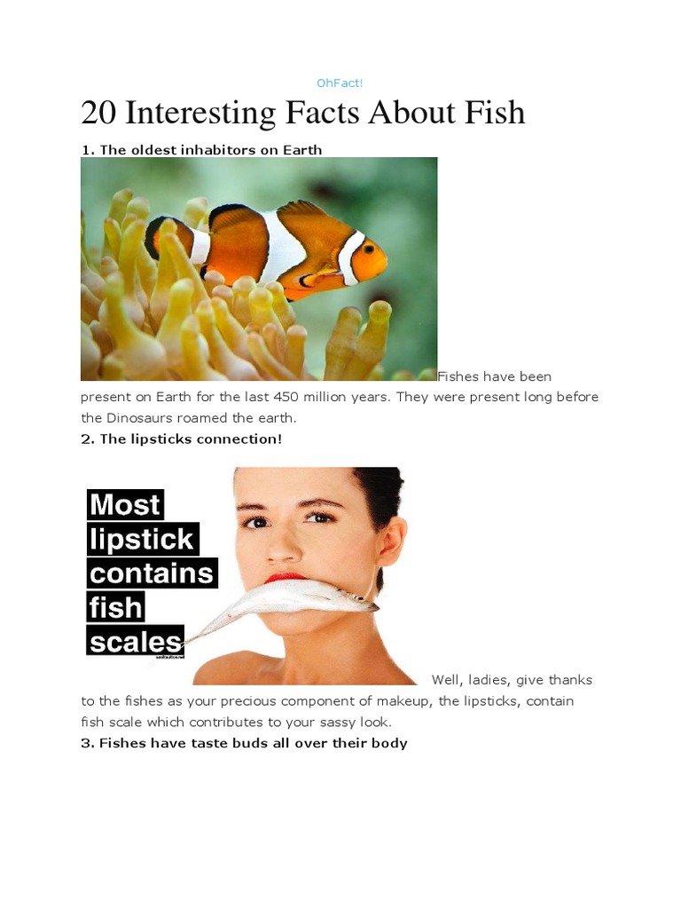 20 Interesting Facts About Fish: 1. The Oldest Inhabitors On Earth ...