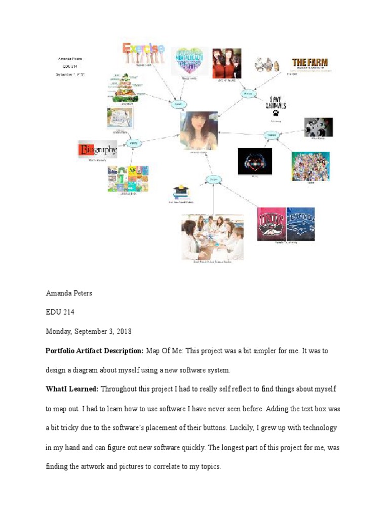 Self-Reflection Project Using Technology | PDF