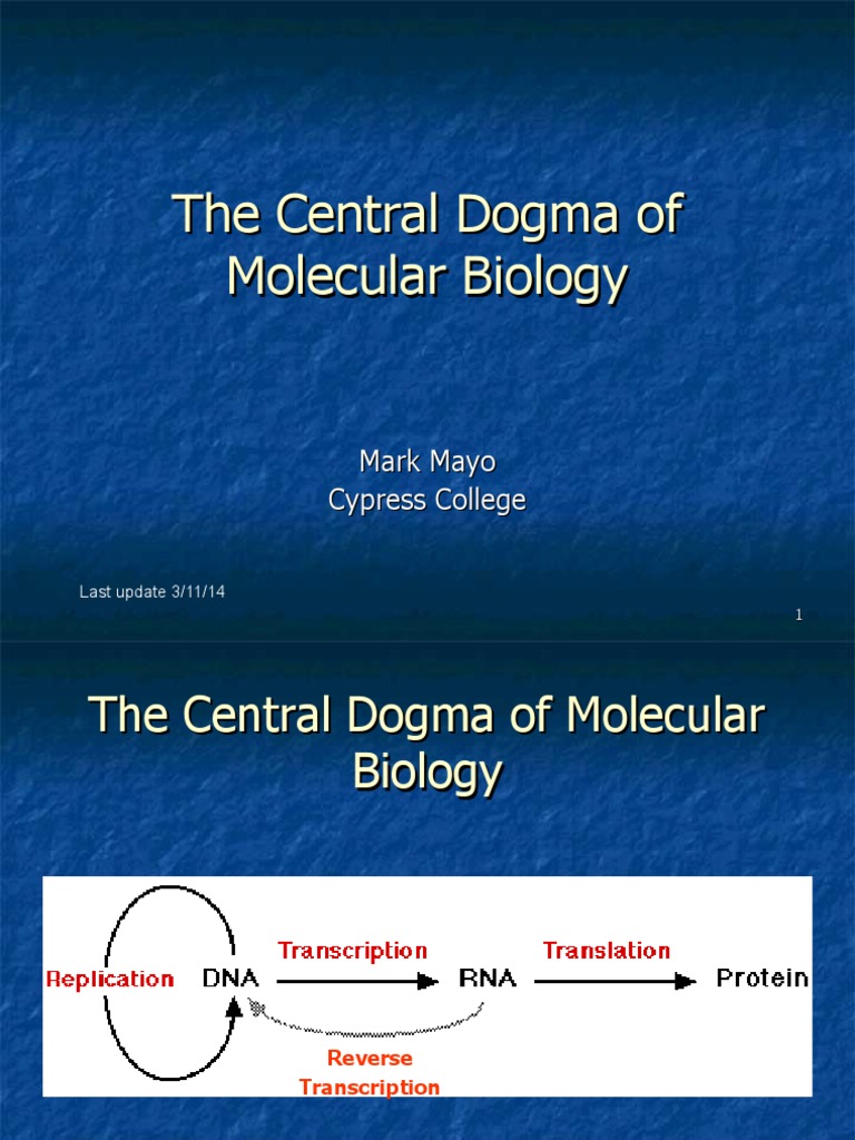 Central Dogma of Molecular Biology Explained | PDF | Translation ...