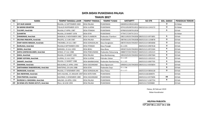 Data Bidan 2017 | PDF