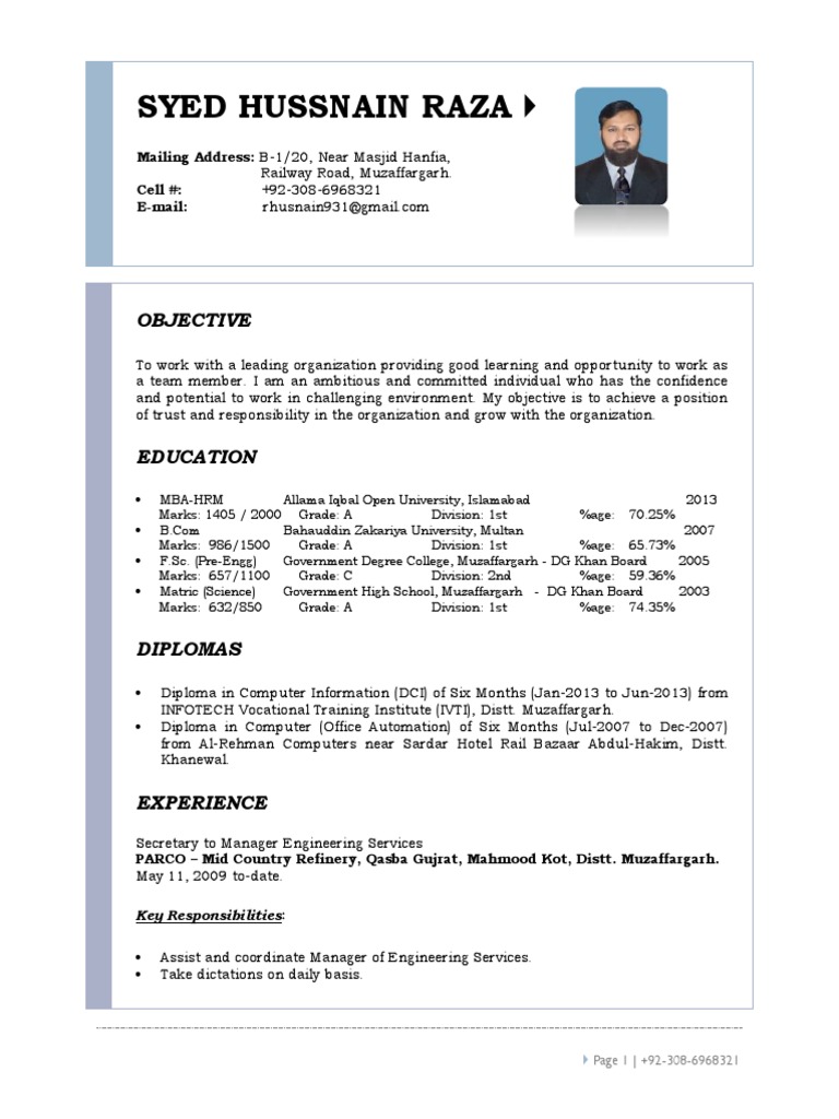 CV - Syed Hussnain Raza 2019 | PDF | Computing | Business