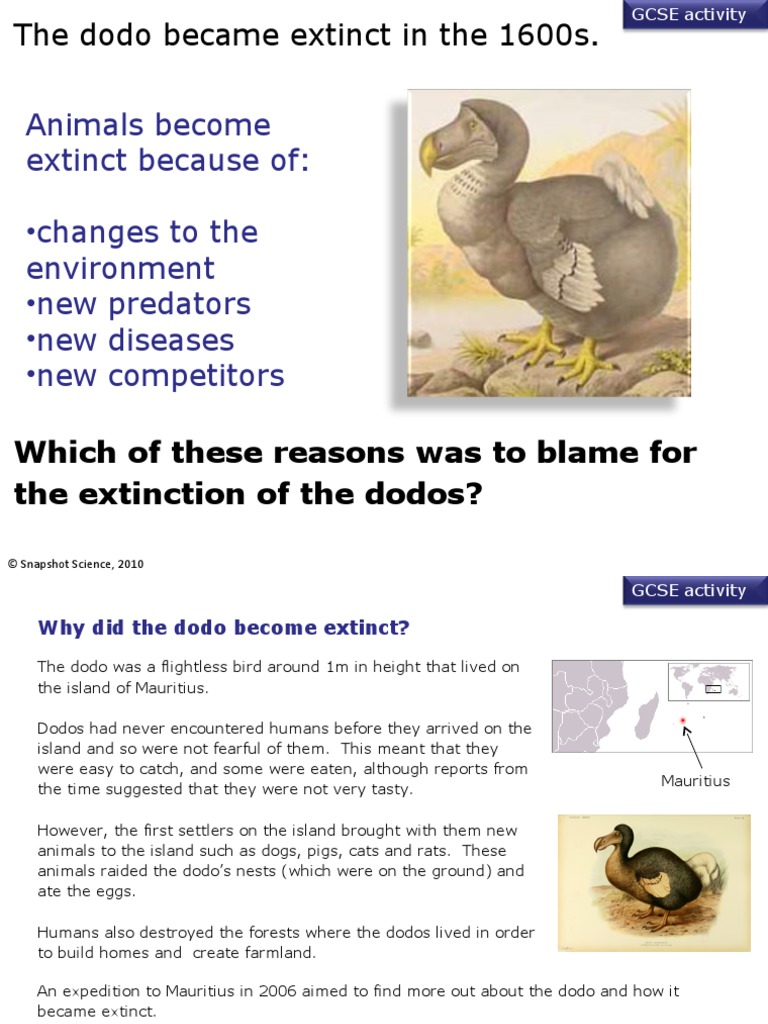 Extinction of The Dodos | PDF | Social Science | Science & Mathematics
