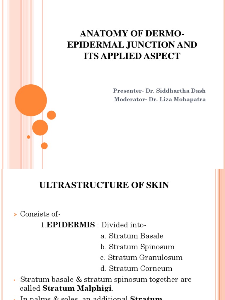 Dermoepidermal Junction Anatomy Overview | PDF | Collagen | Cell Biology
