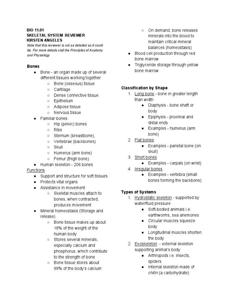 Skeletal System Reviewer | PDF | Skeleton | Bone