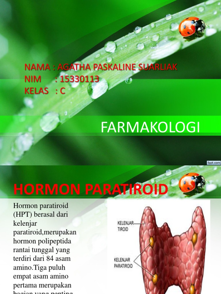 Hormon Paratiroid | PDF