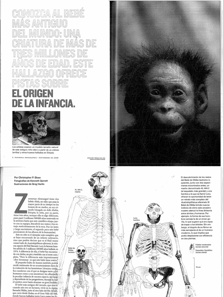 National Geographic - El Hijo Del Eslabon Perdido | PDF