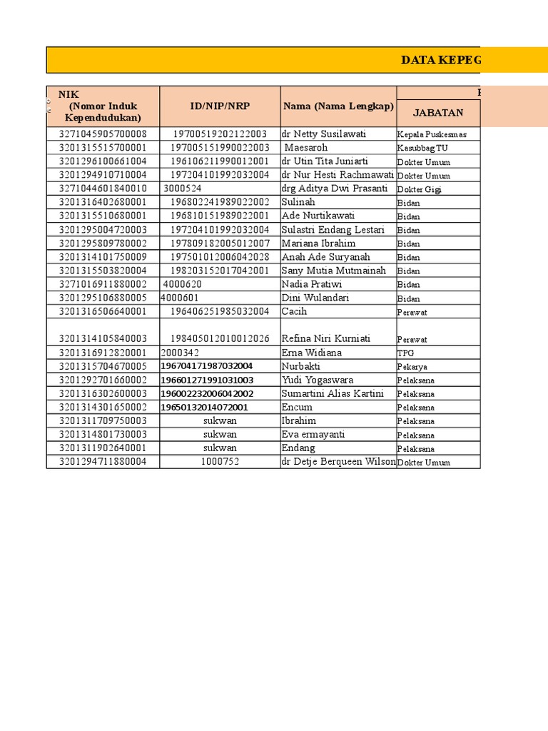 Data Kepegawaian | PDF