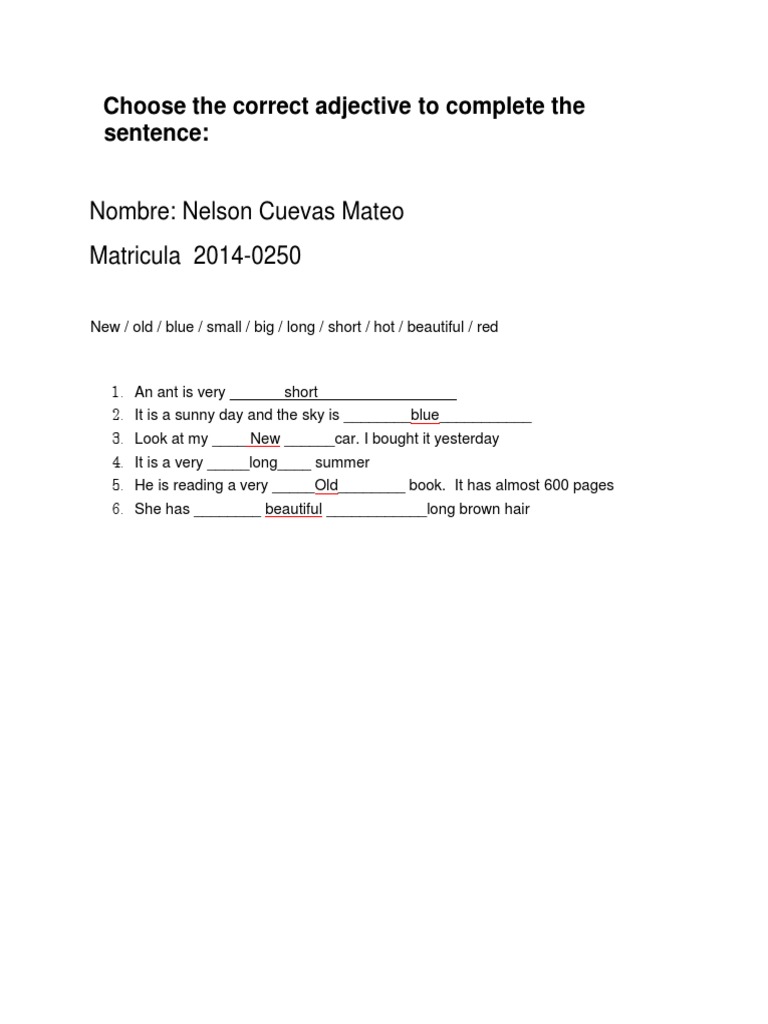 Spanish Language Adjective Exercise | PDF