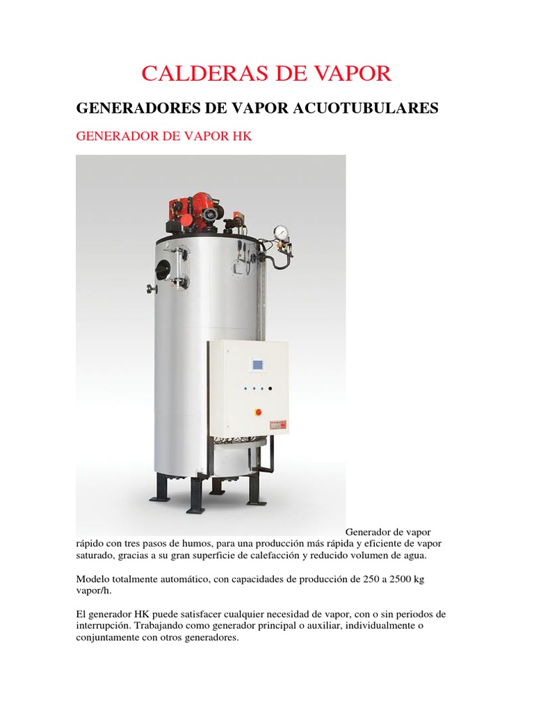 Calderas de Vapor | PDF | Caldera | Combustibles