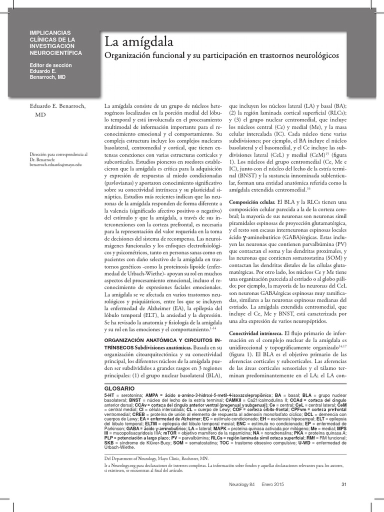 Amigdala | PDF | Amígdala | Sinapsis