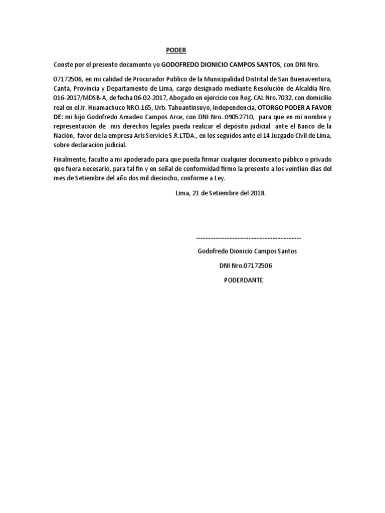 Carta Poder Simple | PDF