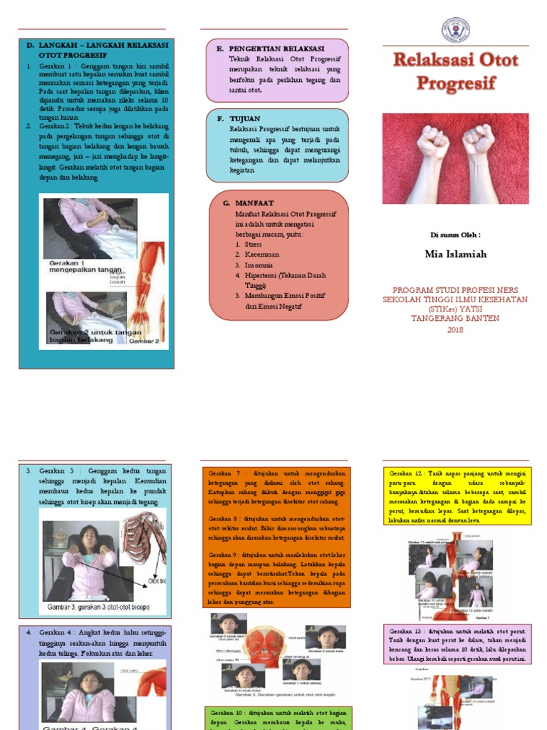 Leaflet PMR | PDF