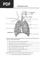 Grade 9 Respiratory System Activities | PDF | Respiratory Tract ...