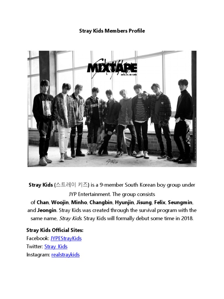 Stray Kids Members Profile | PDF | Entertainment (General)