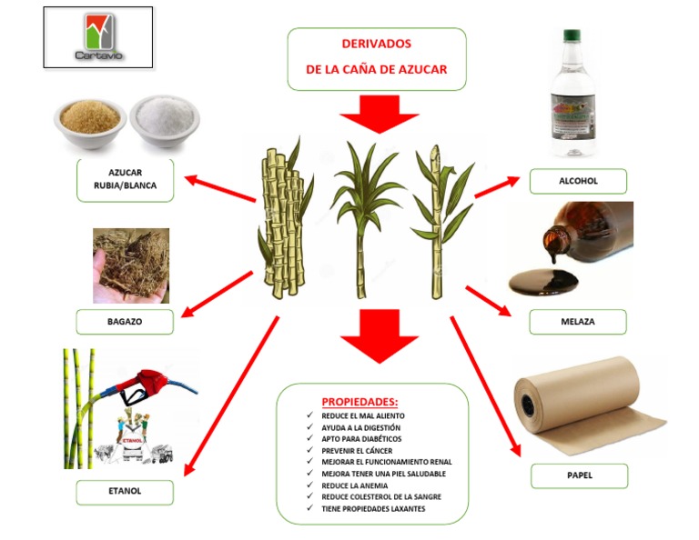 Caña de Azucar | PDF