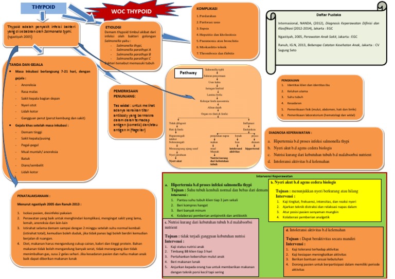 WOC Thypoid | PDF