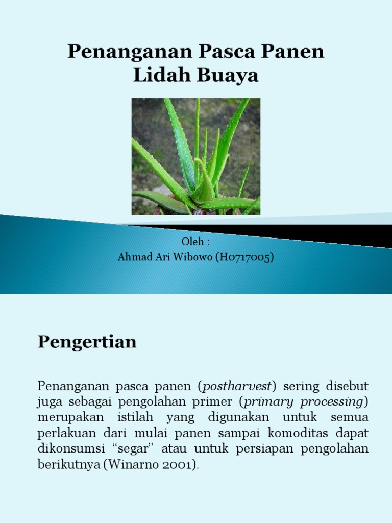 Penanganan Pasca Panen | PDF