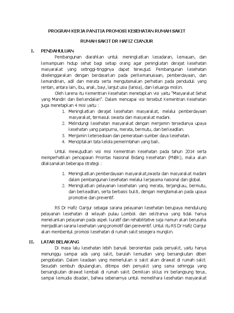 Program Kerja Promkes RSDH | PDF