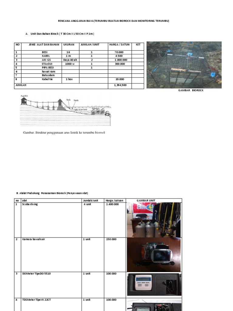 Gambar. Struktur Penggunaan Arus Listrik Ke Terumbu Biorock | PDF