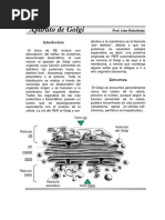 Transporte Vesicular en la Vía Secretora | PDF | Lisosoma | Membrana ...