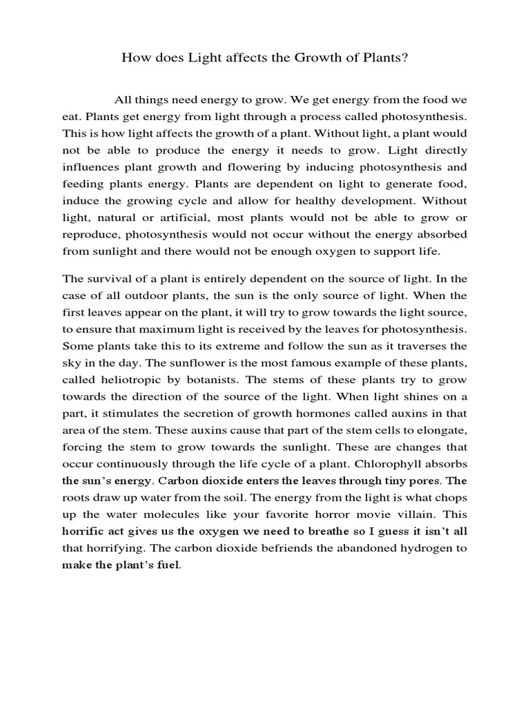 How Light Drives Photosynthesis and Directly Influences Plant Growth ...