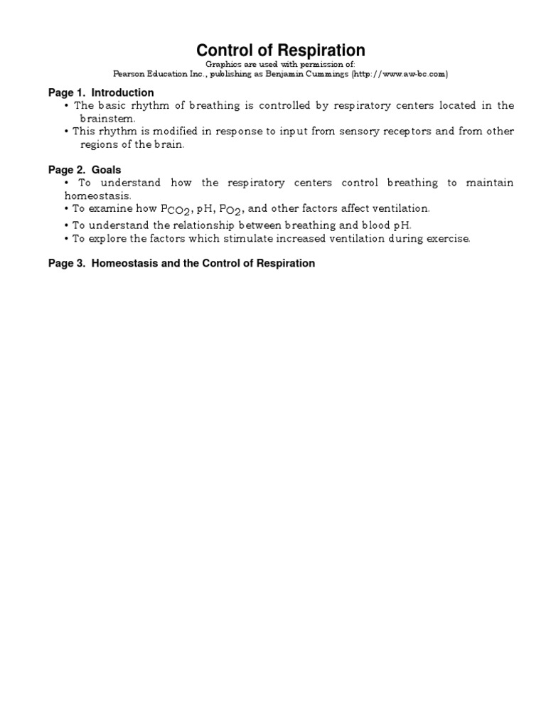 Control of Respiration | PDF | Breathing | Respiratory System