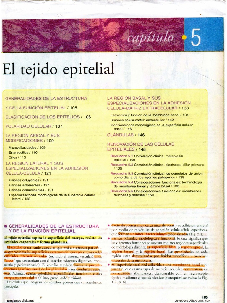 Capitulo 5 - Ross PDF | PDF