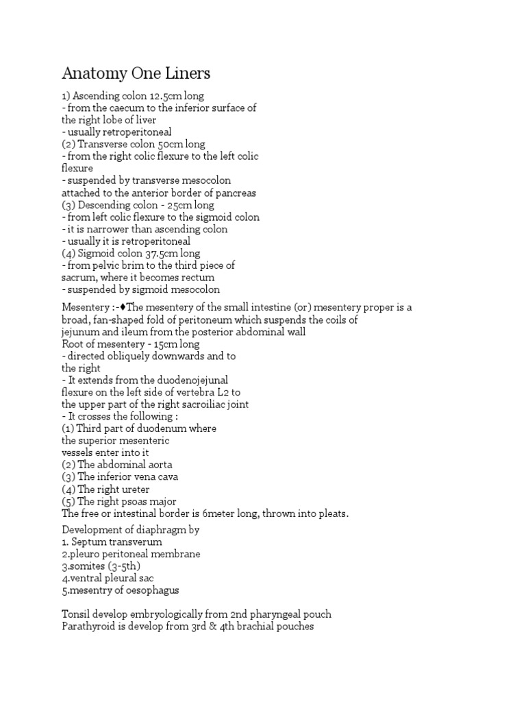 Anatomy One Liners PDF | Download Free PDF | Vertebra | Vertebral Column
