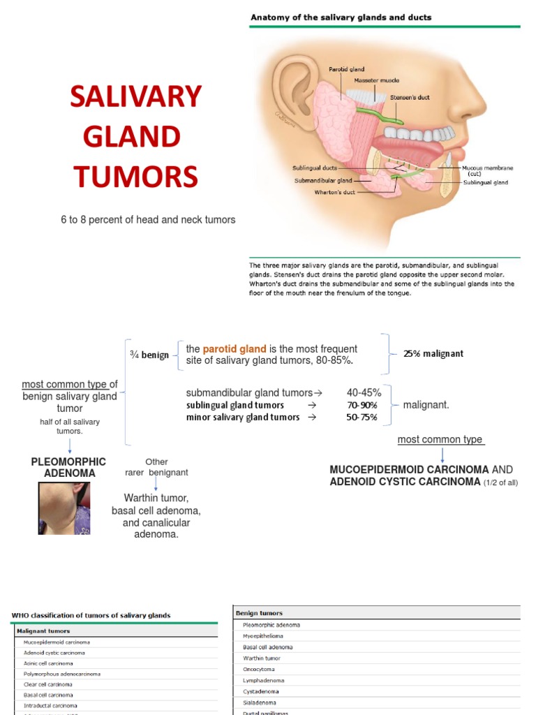 Salivary Gland Tumors | PDF | Metastasis | Cancer