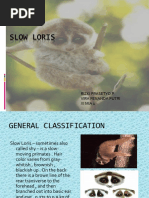 Umayamnon Tribe | PDF